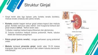 Ppt ginjal | PPTX