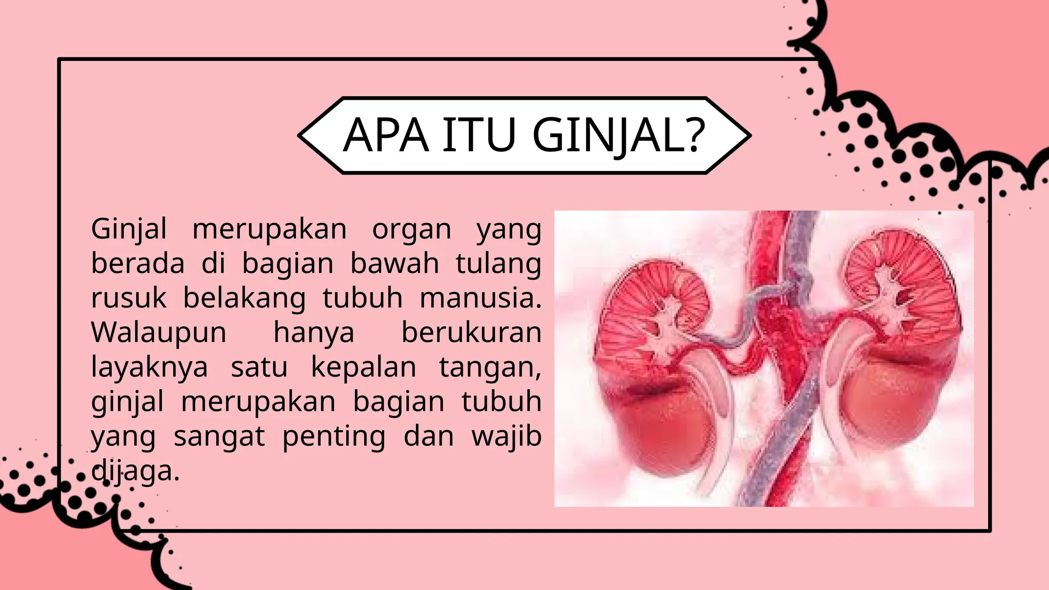 PPT GINJAL MATERI KELAS 11 SMA IPA BIOLOGI | PPTX