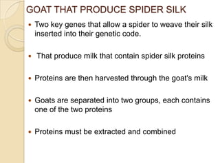 genetically modified organisms | PPTX