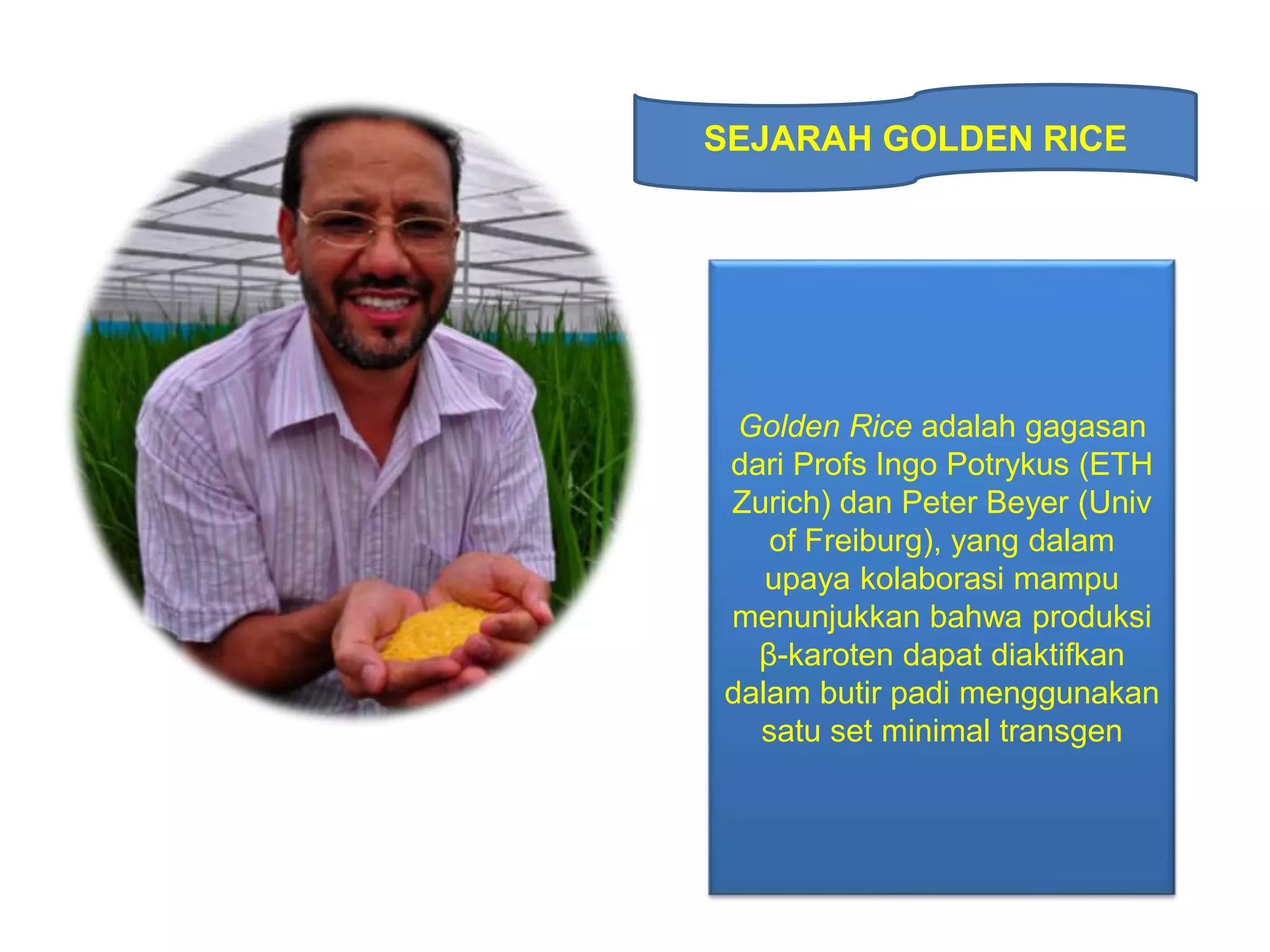 Ppt golden rice | PPTX
