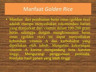 Ppt golden rice | PPTX