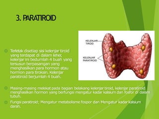 Ppt Hormon | PPTX