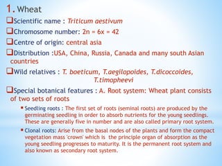 genetics and plant breeding | PPTX