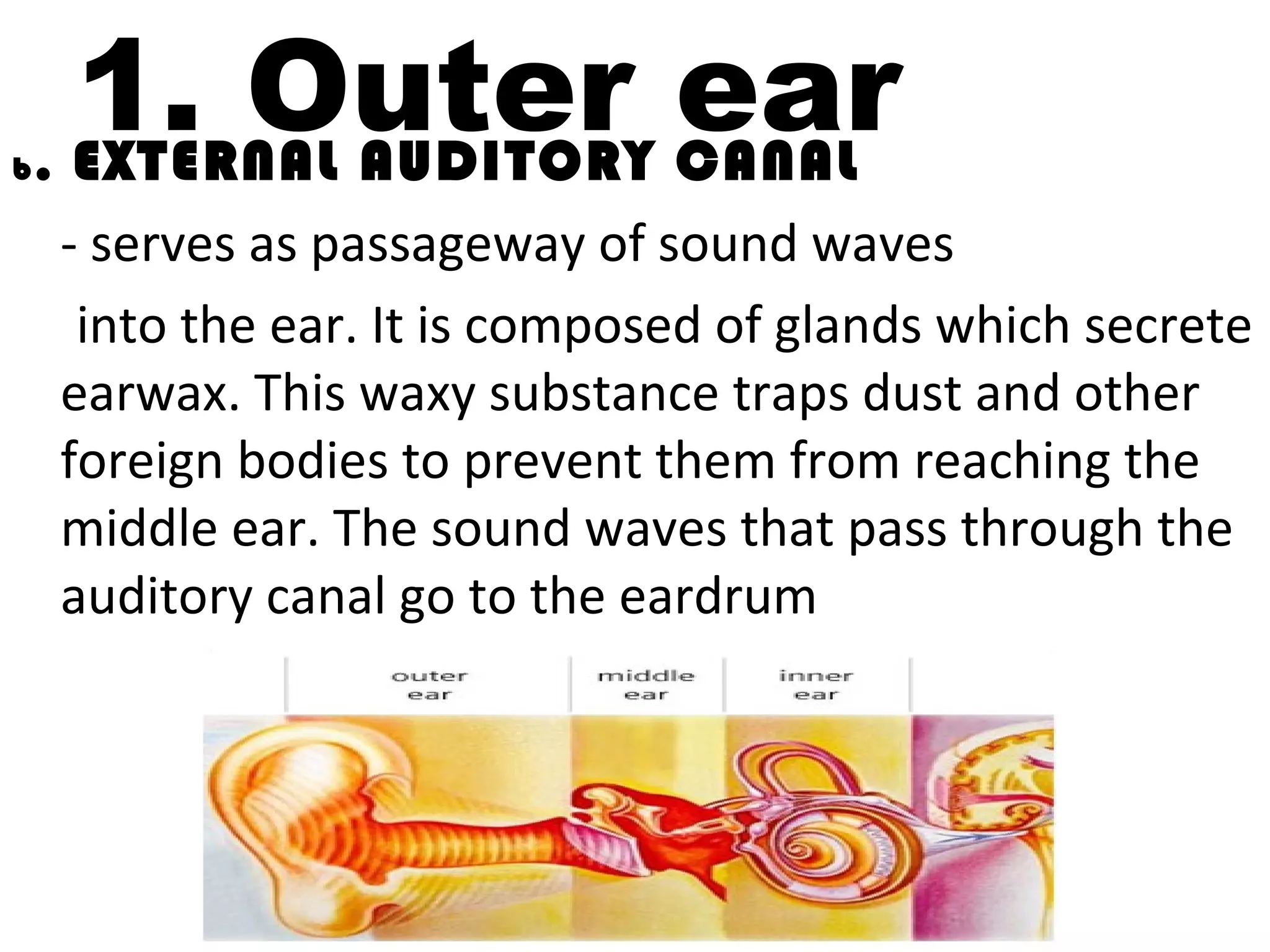 Ppt gr.3 ears | PPT