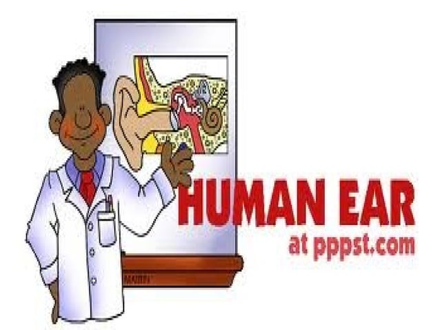 Ppt gr.3 ears | PPT | Ear, Nose and Throat Conditions | Diseases and ...