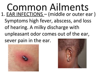 Ppt gr.3 ears | PPT