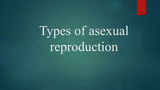 Presentation Grade-7 Asexual reproduction.pptx