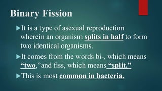Presentation Grade-7 Asexual reproduction.pptx