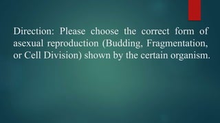 Presentation Grade-7 Asexual reproduction.pptx