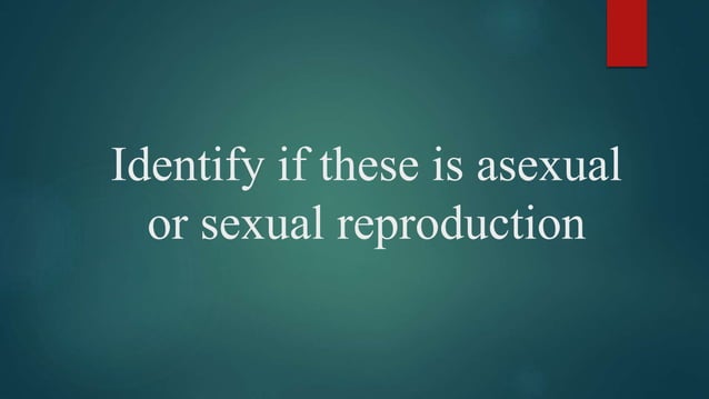 Presentation Grade 7 Asexual Reproduction Pptx Reproductive Health Diseases And Conditions