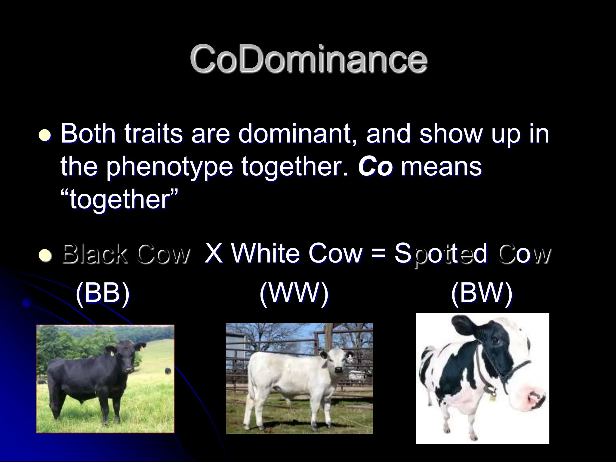 Heredity: inheritance and variation LESSON IN SCIENCE 9 | PPT