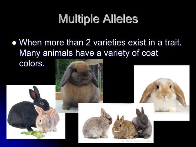 Heredity: inheritance and variation LESSON IN SCIENCE 9 | PPT