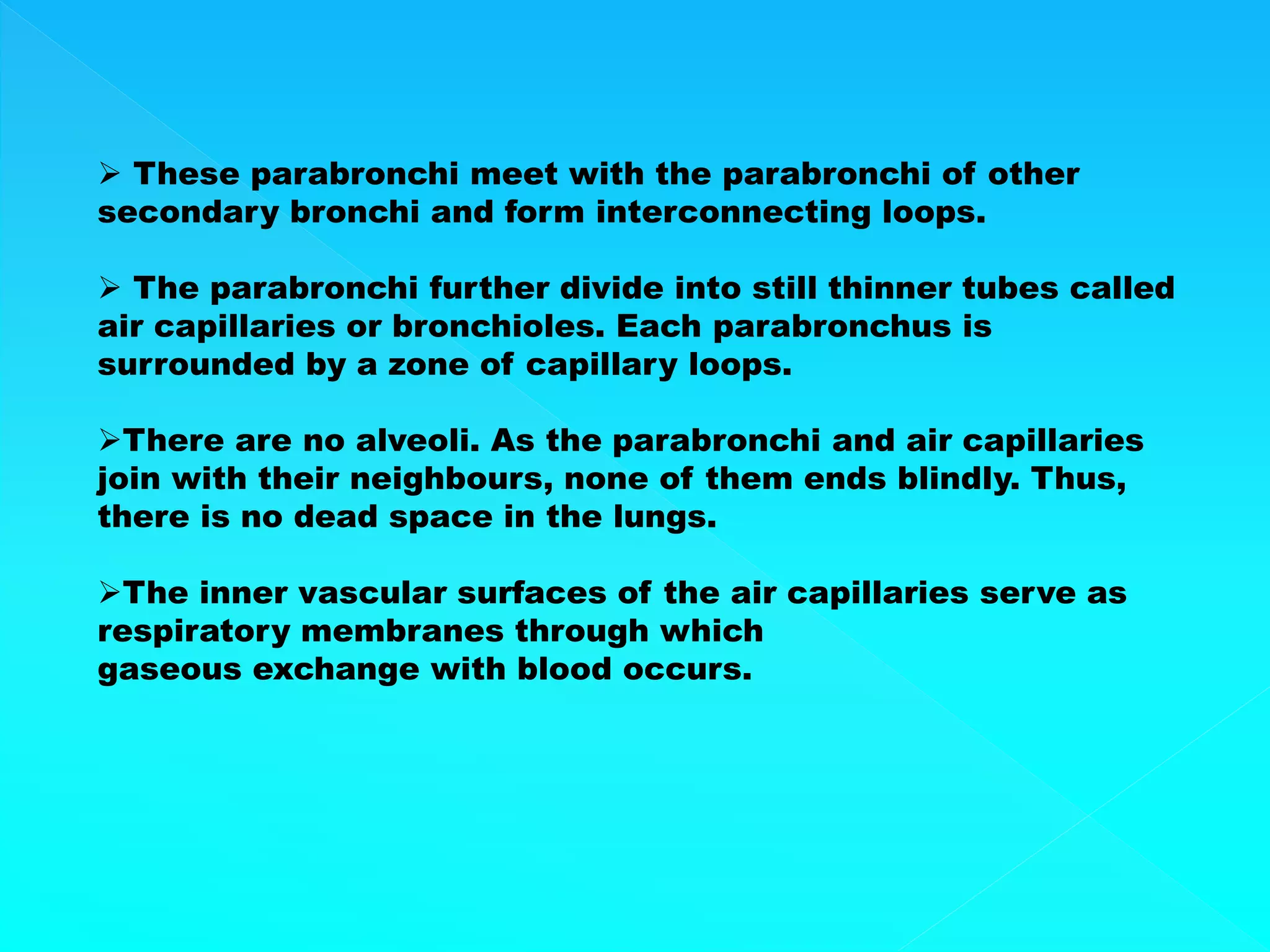 Respiratory system of pigeon | PPTX