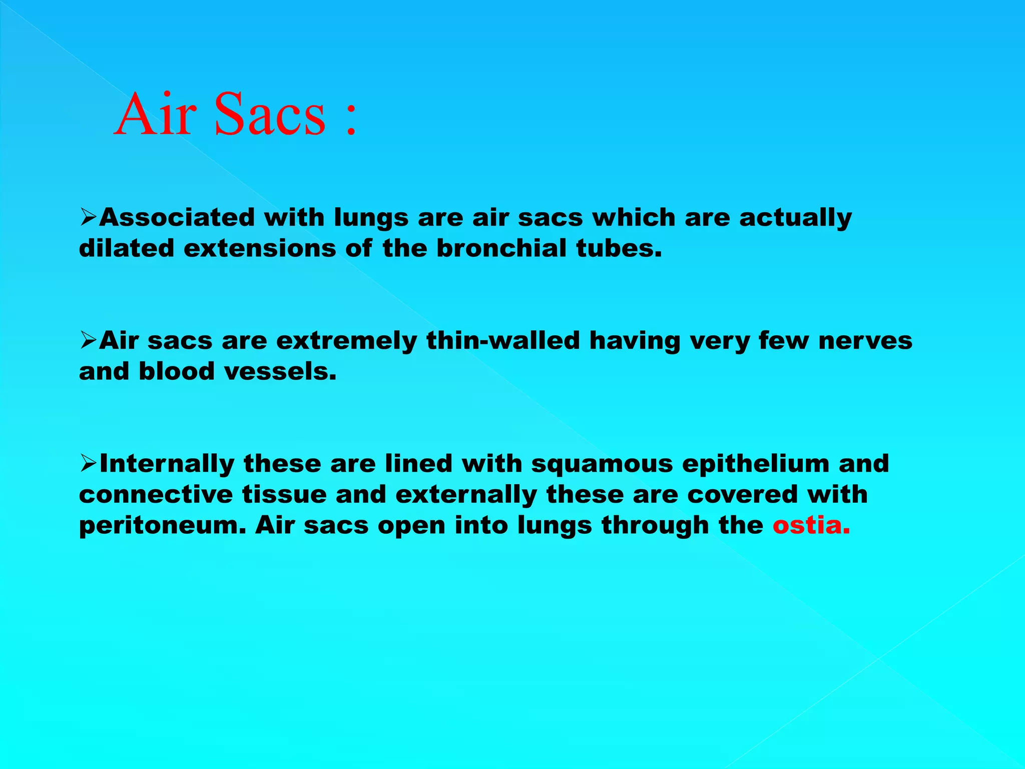 Respiratory system of pigeon | PPTX