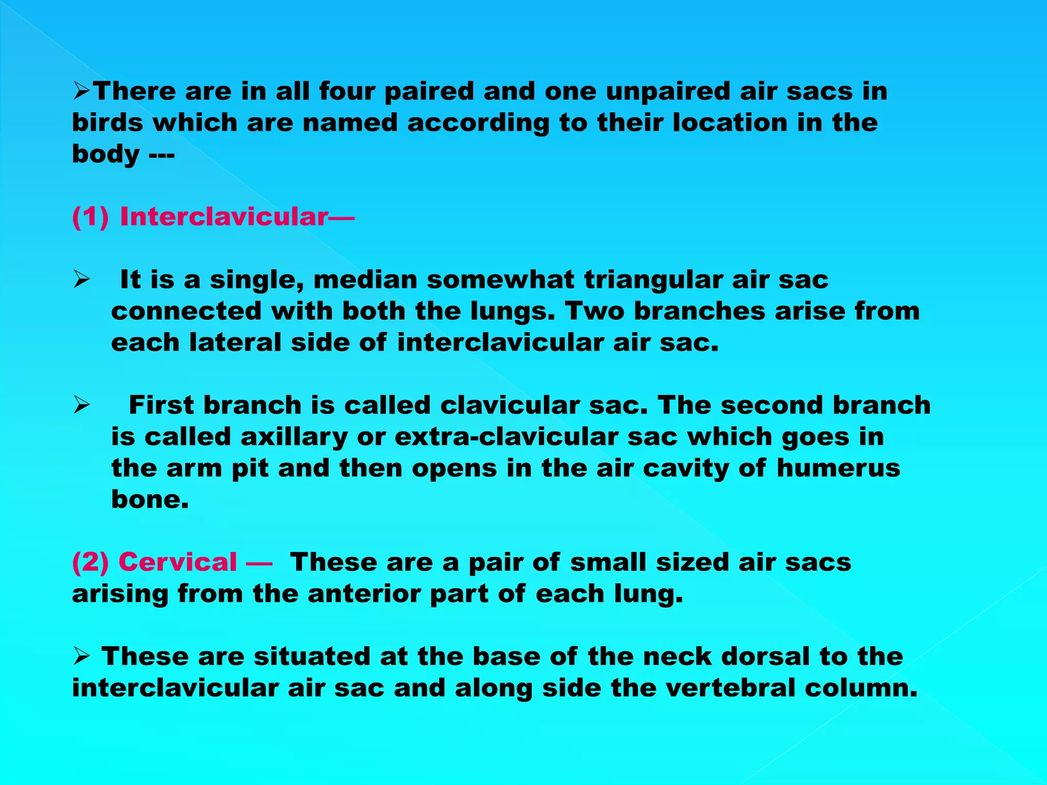 Respiratory system of pigeon | PPTX