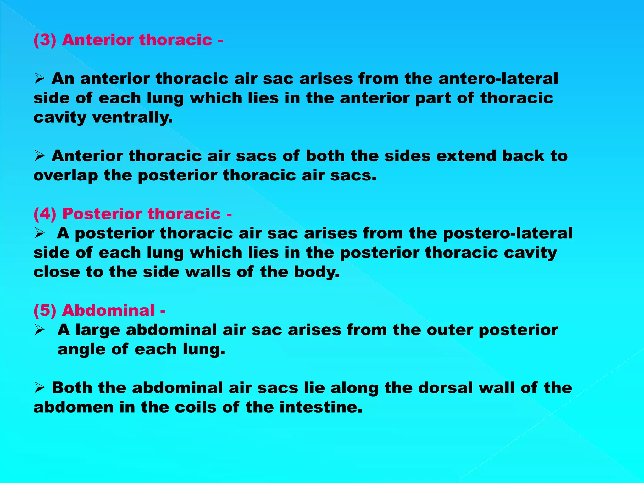 Respiratory system of pigeon | PPTX