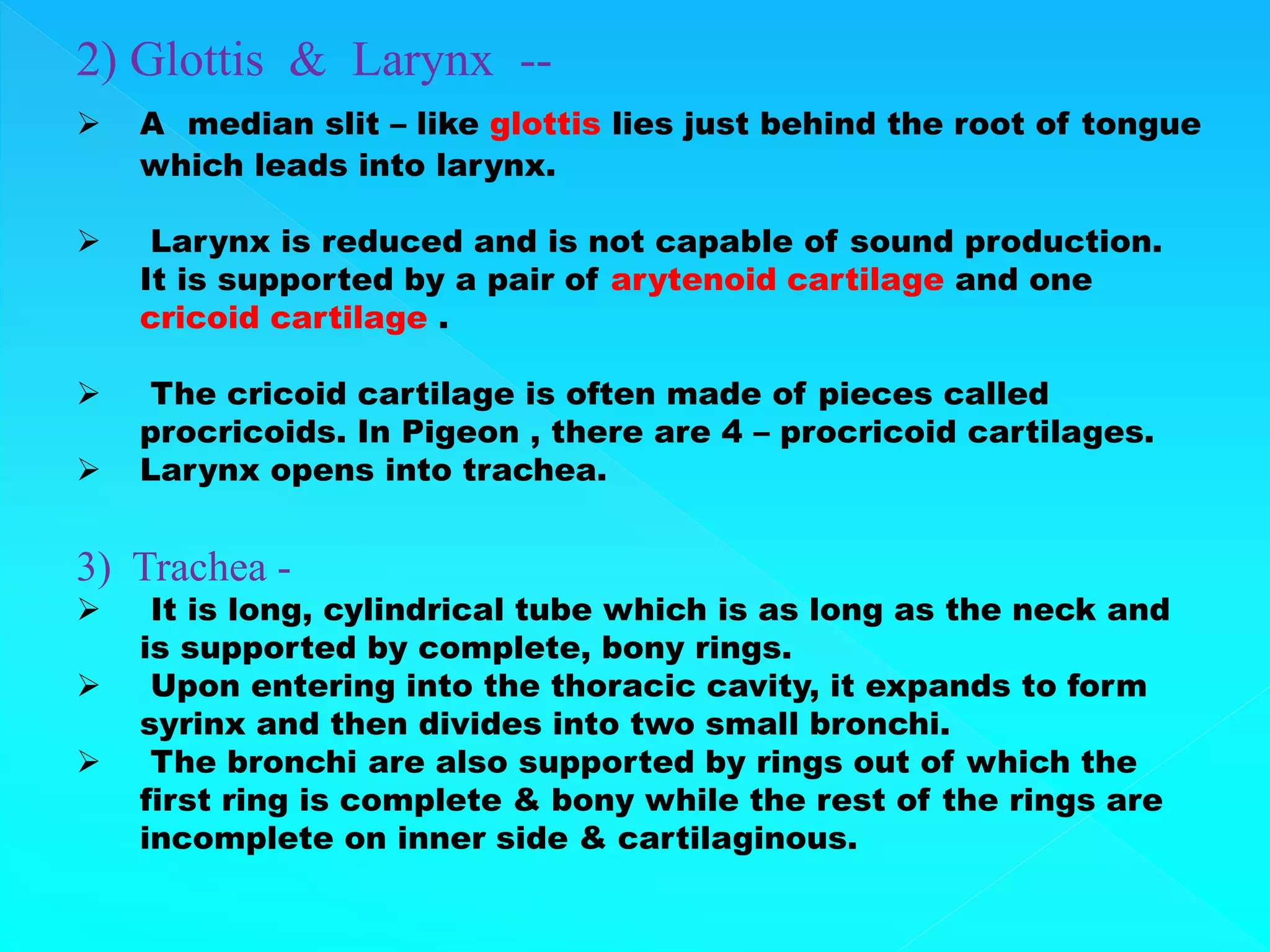 Respiratory system of pigeon | PPTX