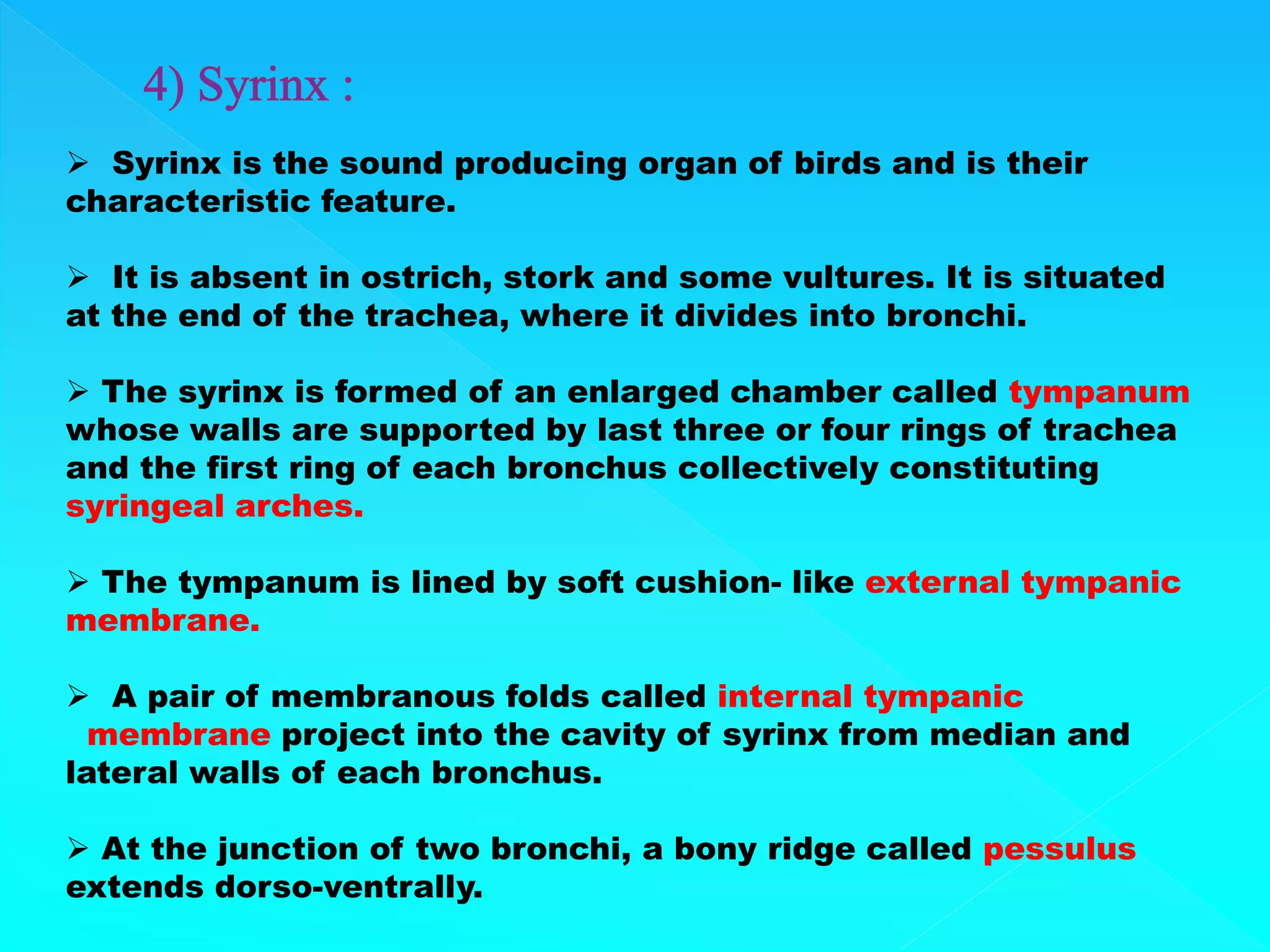 Respiratory system of pigeon | PPTX