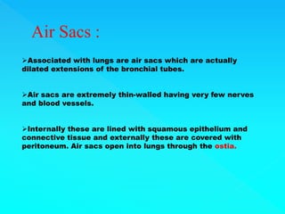 Respiratory system of pigeon | PPTX