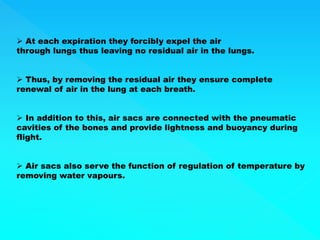 Respiratory system of pigeon | PPTX
