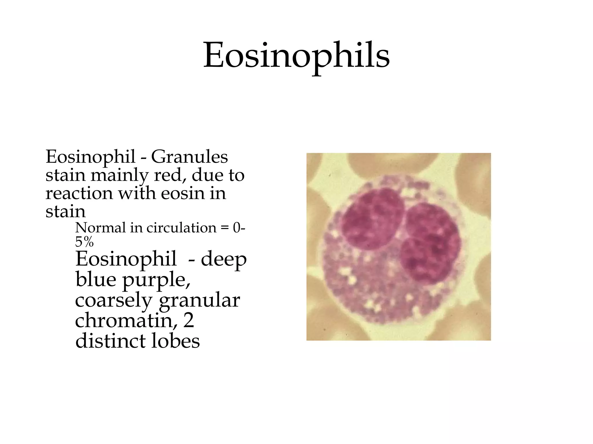 PPT Haematology III-1 (1).pptx