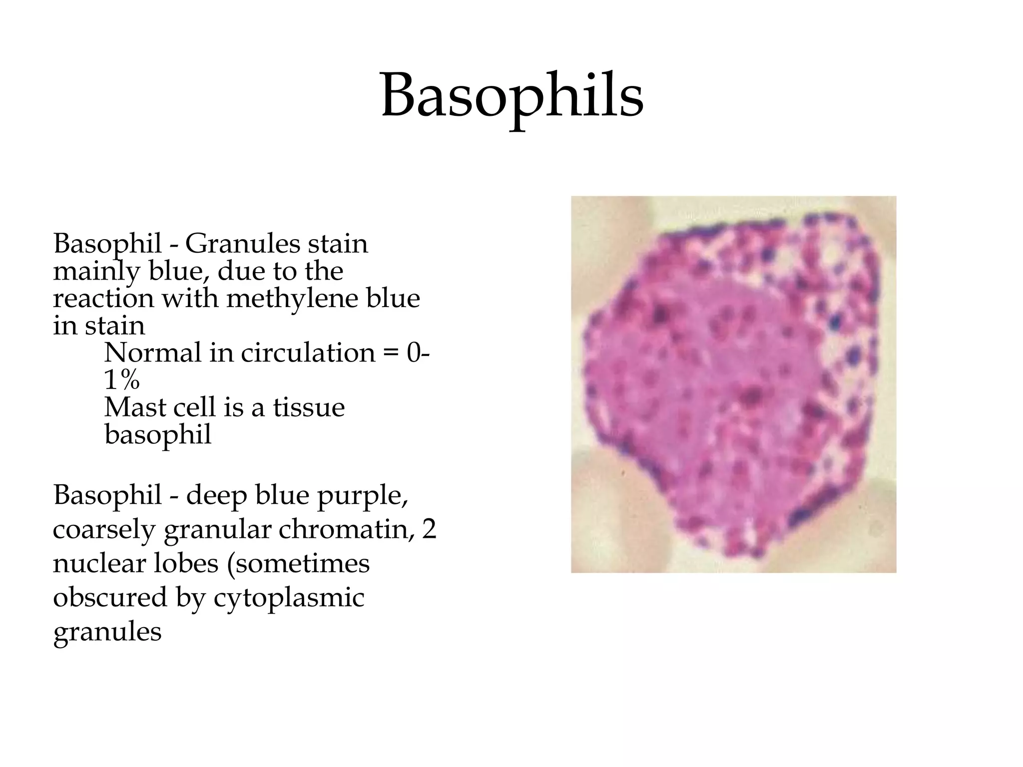 PPT Haematology III-1 (1).pptx