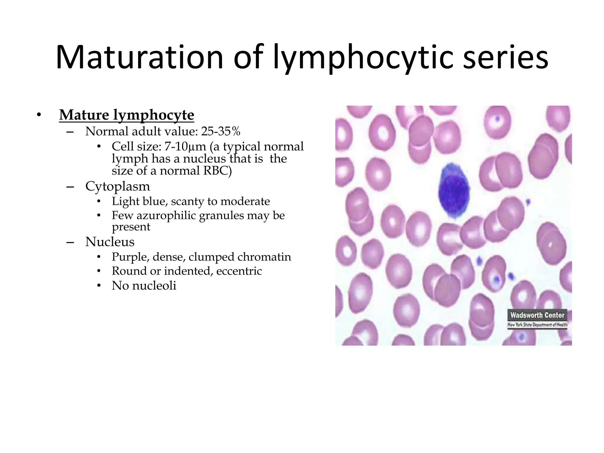 PPT Haematology III-1 (1).pptx