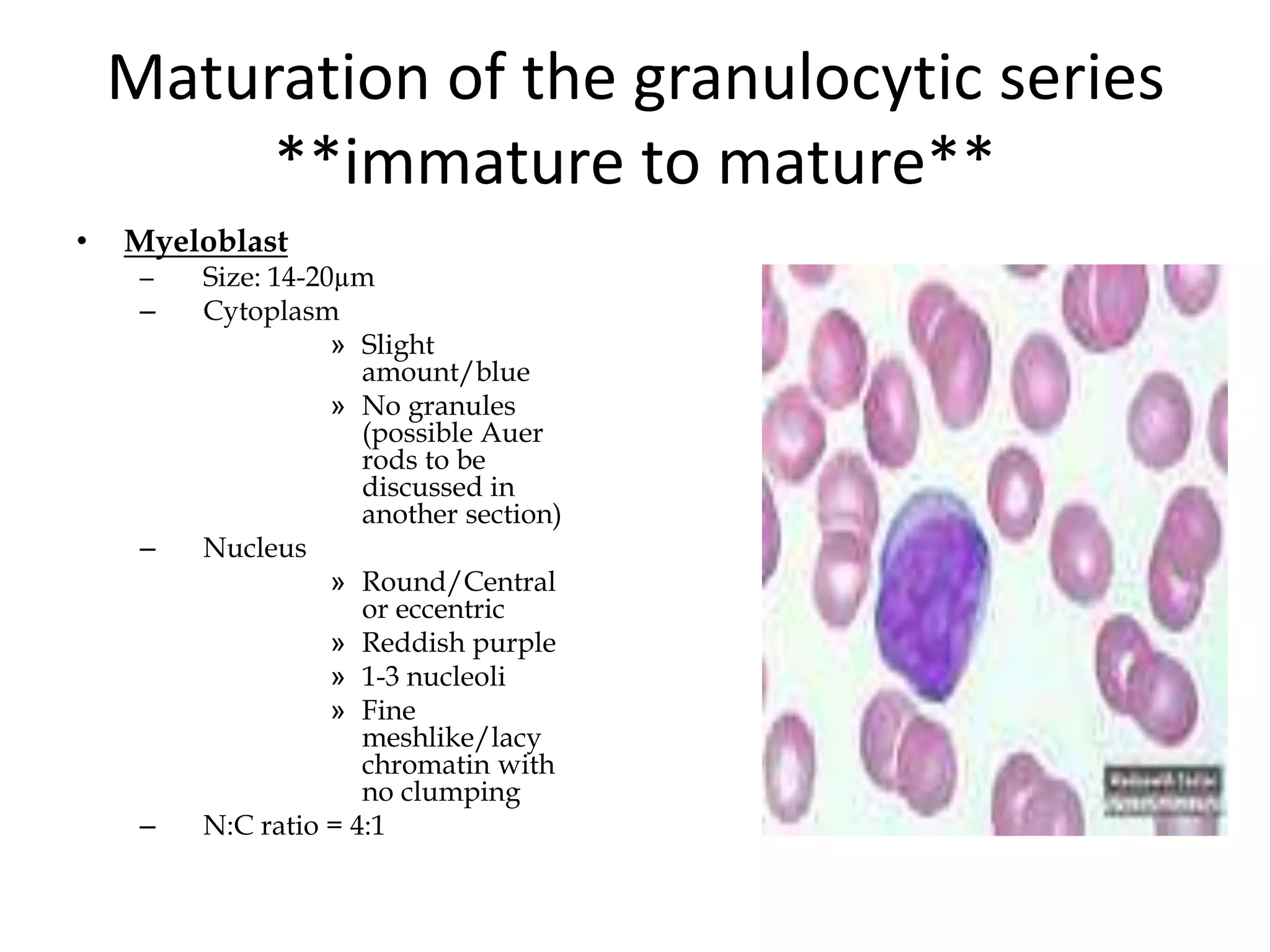 PPT Haematology III-1 (1).pptx