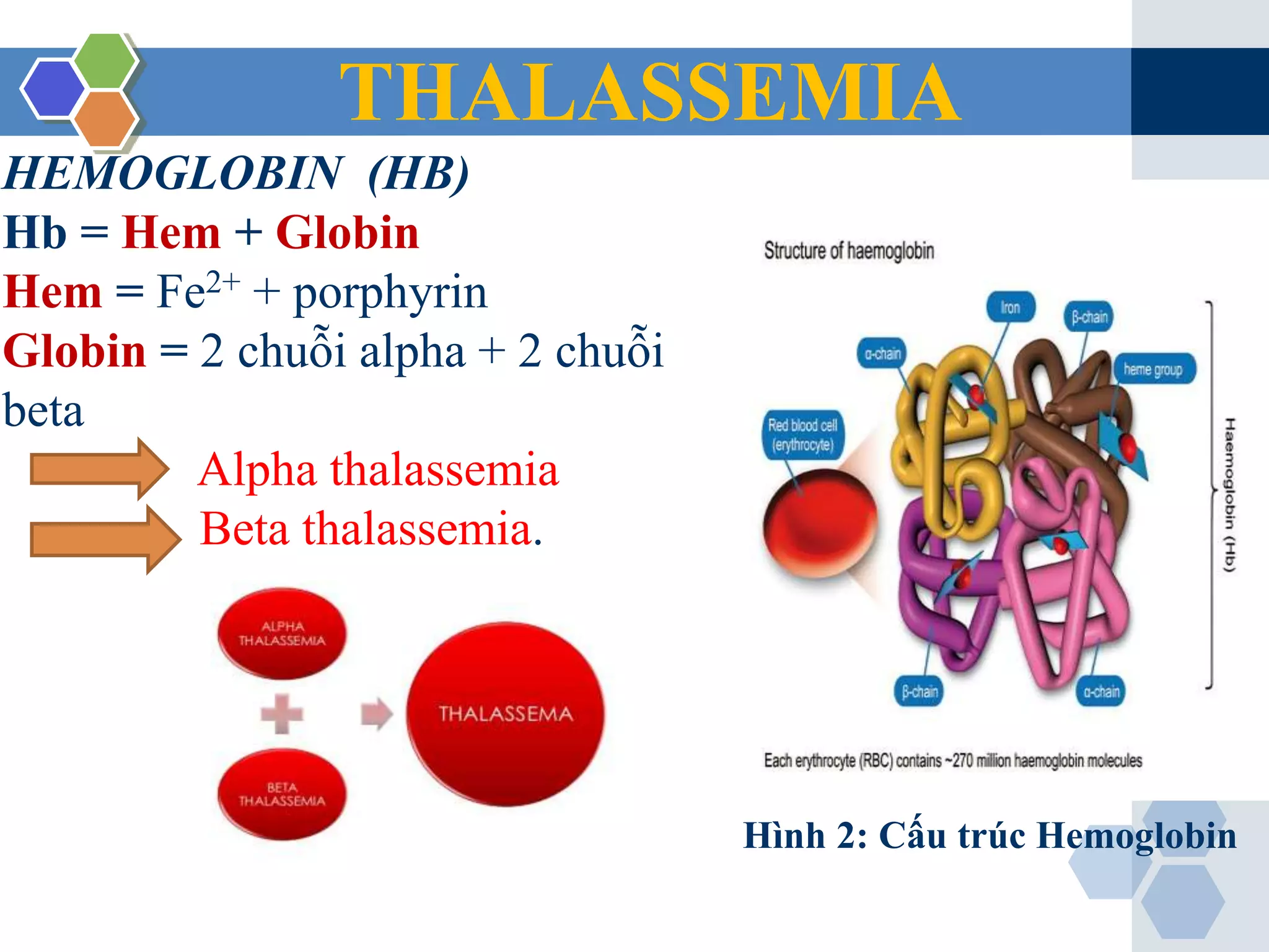 Thalassemia và đột biến gen | PPTX