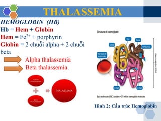 Thalassemia và đột biến gen | PPTX