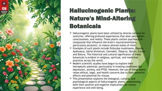 ppt Hallucinogenic and their effect and uses-Plant.pptx