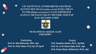 PPT HASIL_Muhammad Akbar Alim_P062202007.pptx