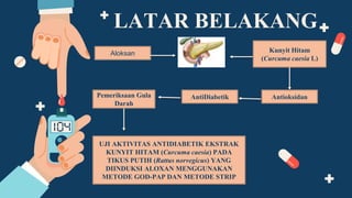 PPT HASIL_Muhammad Akbar Alim_P062202007.pptx