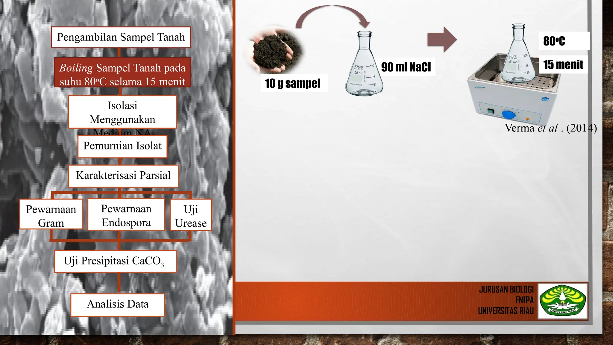 PPT HASILlllllllllllllllllllllllllllllllllllll .pptx