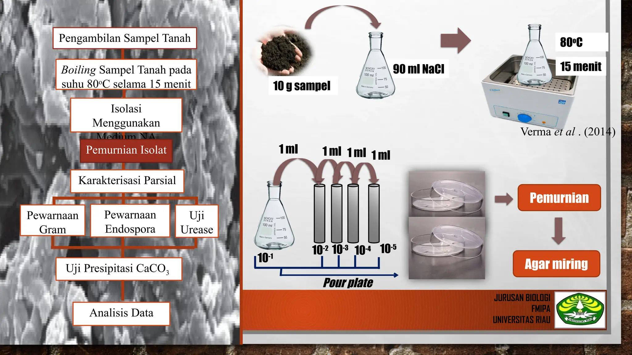 PPT HASILlllllllllllllllllllllllllllllllllllll .pptx