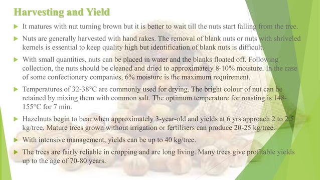 Production Technology and Post-Harvest Management in Hazelnut,HOR-1303 ...