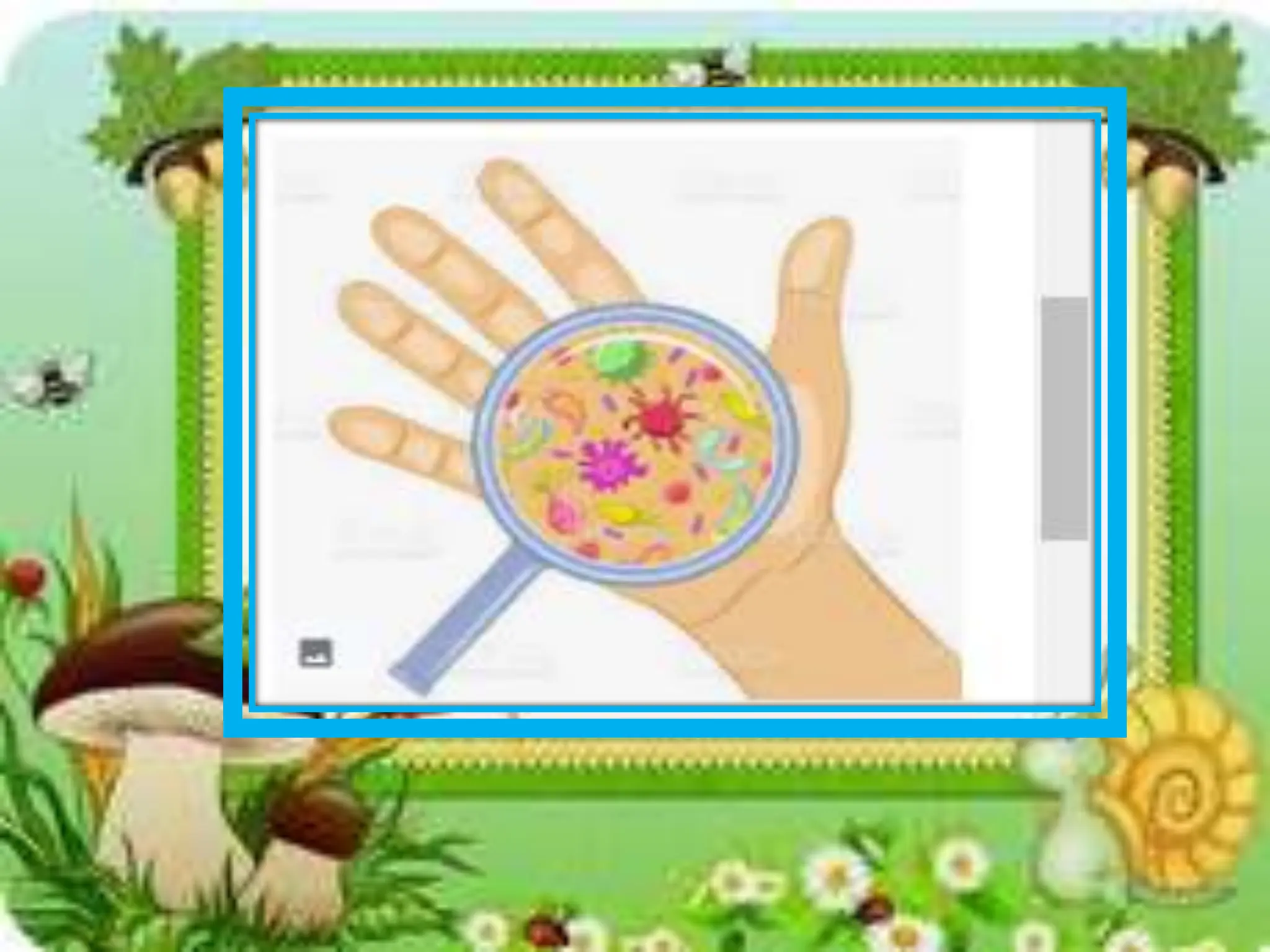 health grade 6 quarter 4 presentation MAPEH | PPTX