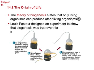 pp the history of life.ppt for the teachers | PPT