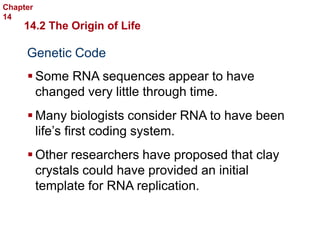 pp the history of life.ppt for the teachers | PPT