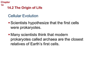 pp the history of life.ppt for the teachers | PPT