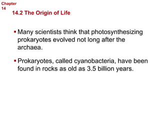 pp the history of life.ppt for the teachers | PPT
