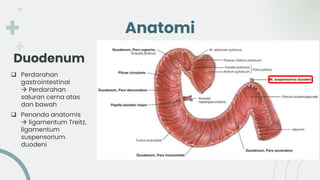 PPT Hematochezia.pptx