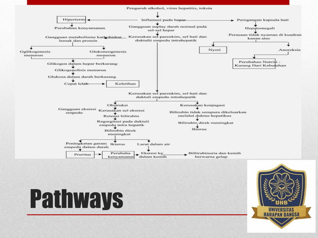 PPT Hepatitis Tugas MK IBD konsep teori dan tatalaksana | PPT