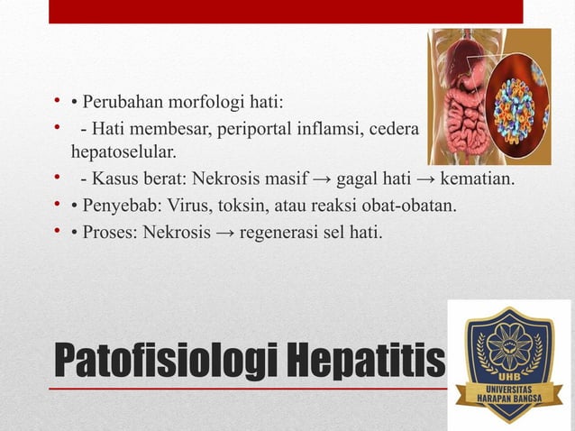 PPT Hepatitis Tugas MK IBD konsep teori dan tatalaksana | PPTX