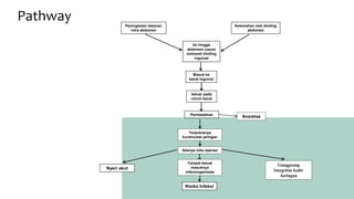 PPT Hernia Lia (1).pptx