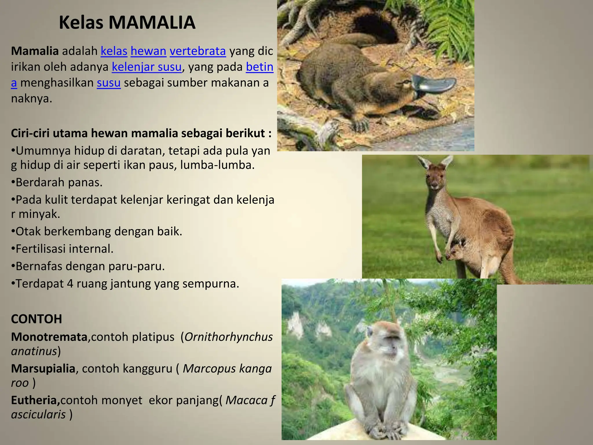 Kindom Animalia, Pisces, amfibi, avec and mamalia | PPTX