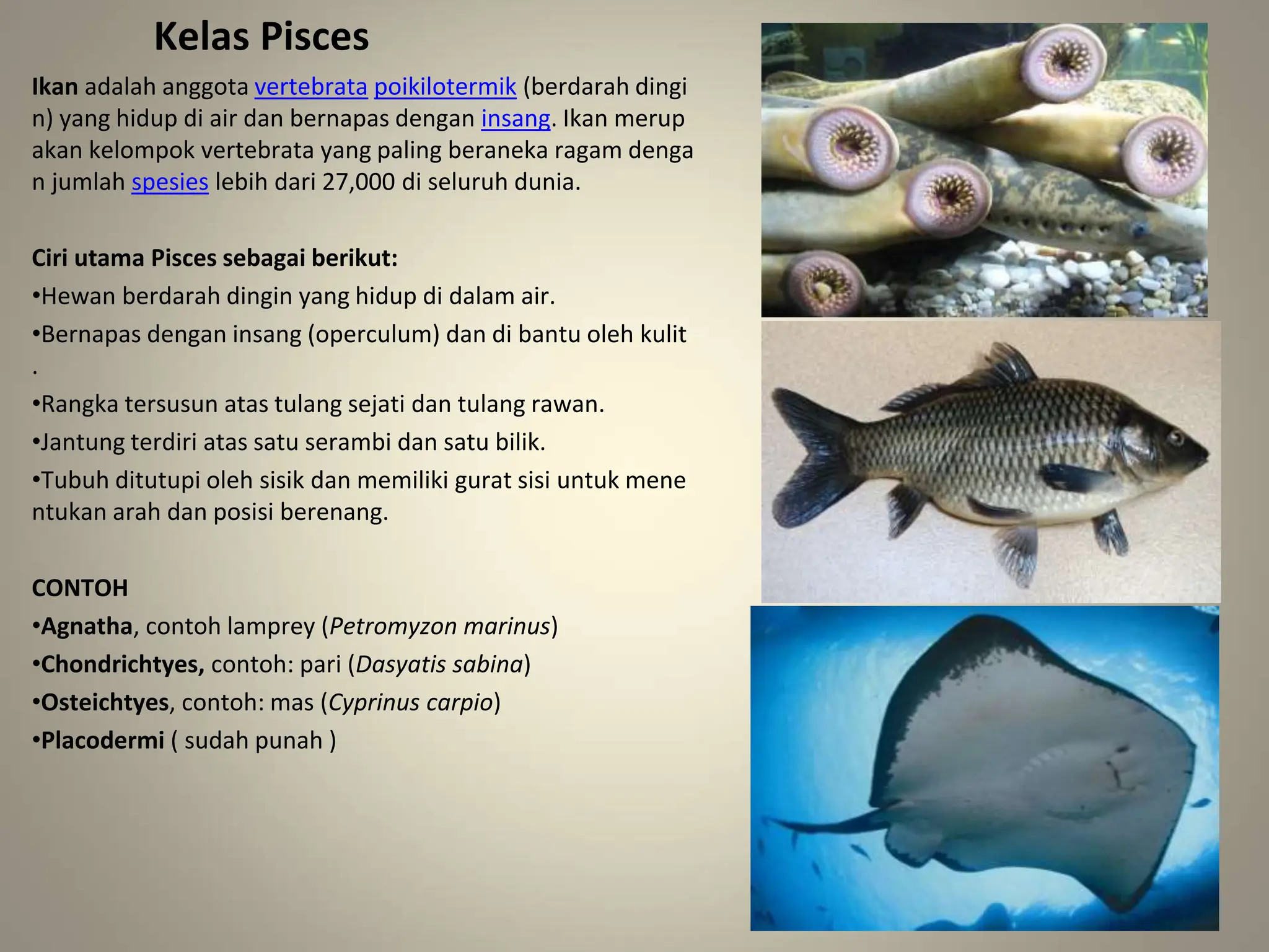 Kindom Animalia, Pisces, amfibi, avec and mamalia | PPTX