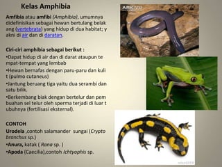 Kindom Animalia, Pisces, amfibi, avec and mamalia | PPTX