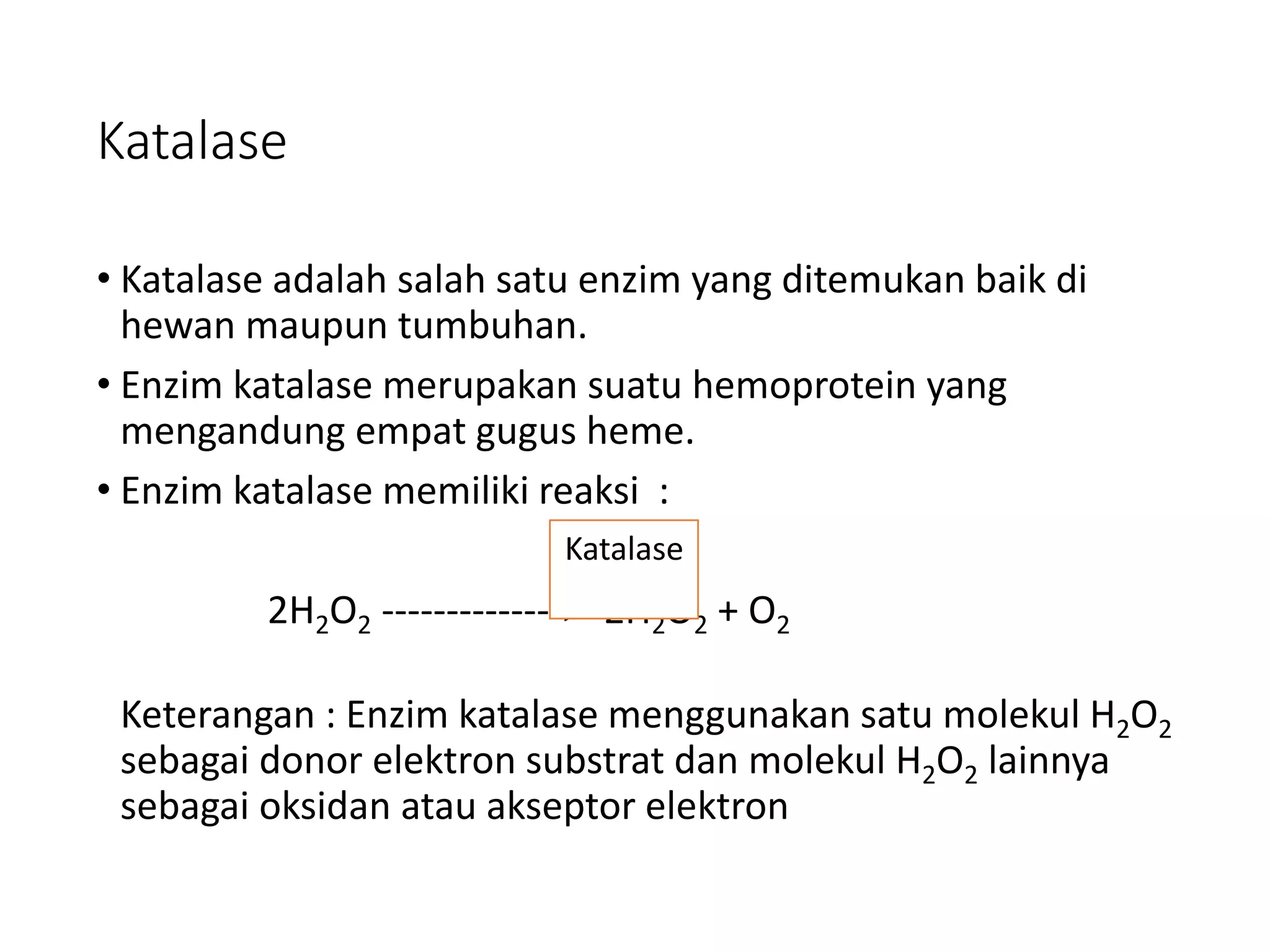 Bioenergenetika, Oksidasi Biologis, Rantai Respiratorik | PPTX