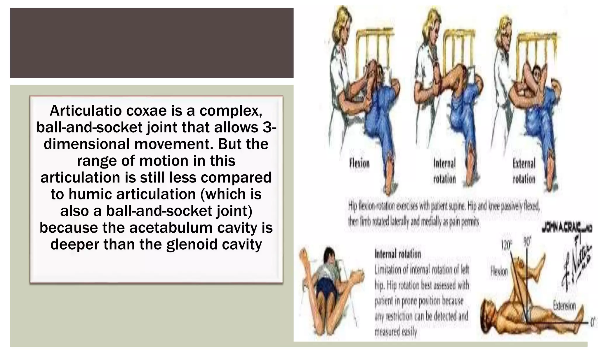 Ppt hip dislocation | PPTX
